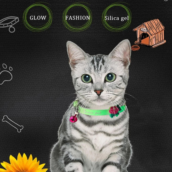Luminous Cat (Glowing) Collar – Molly International